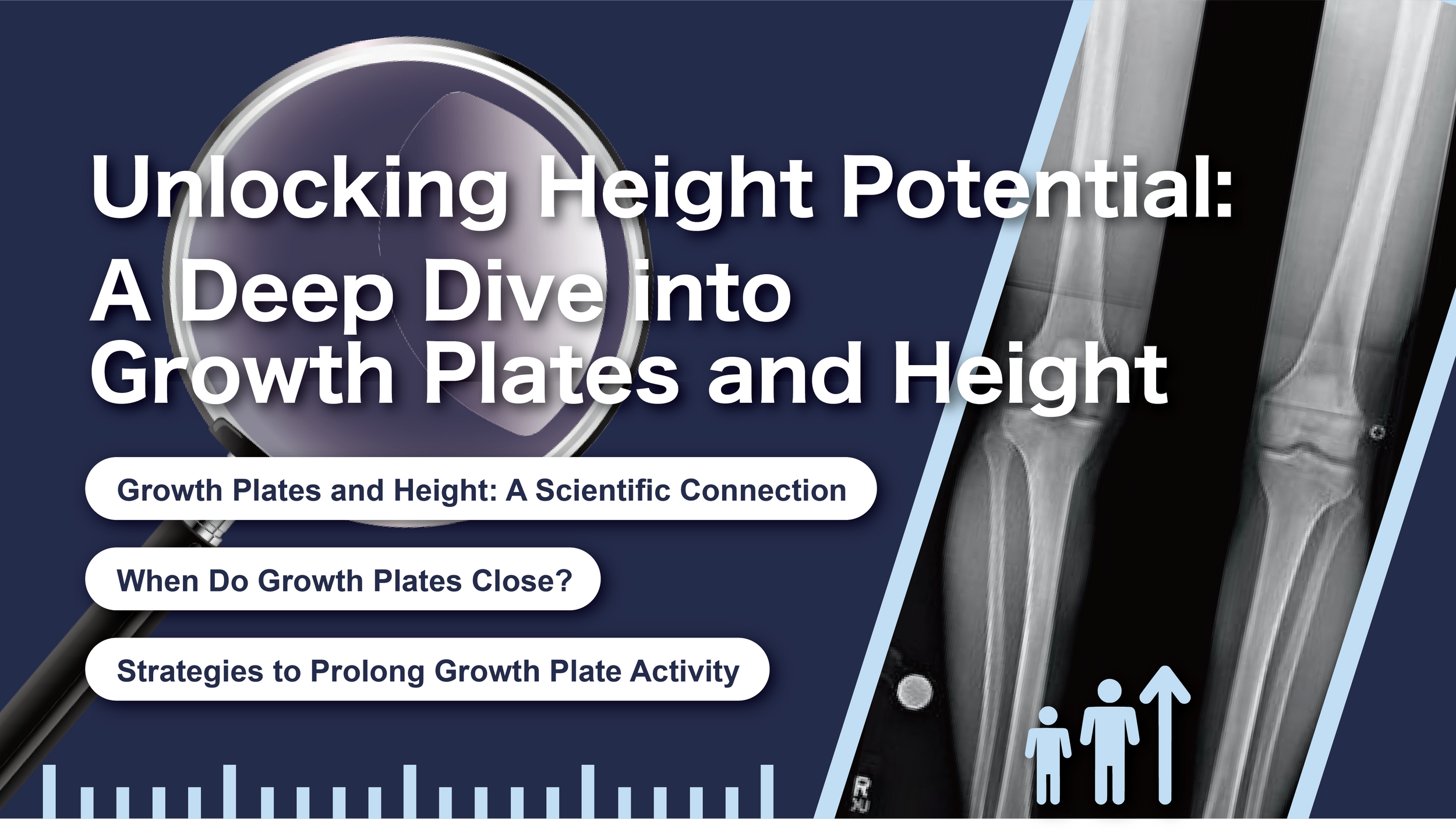 A Deep Dive into Growth Plates and Height | Tenchi Health Tips